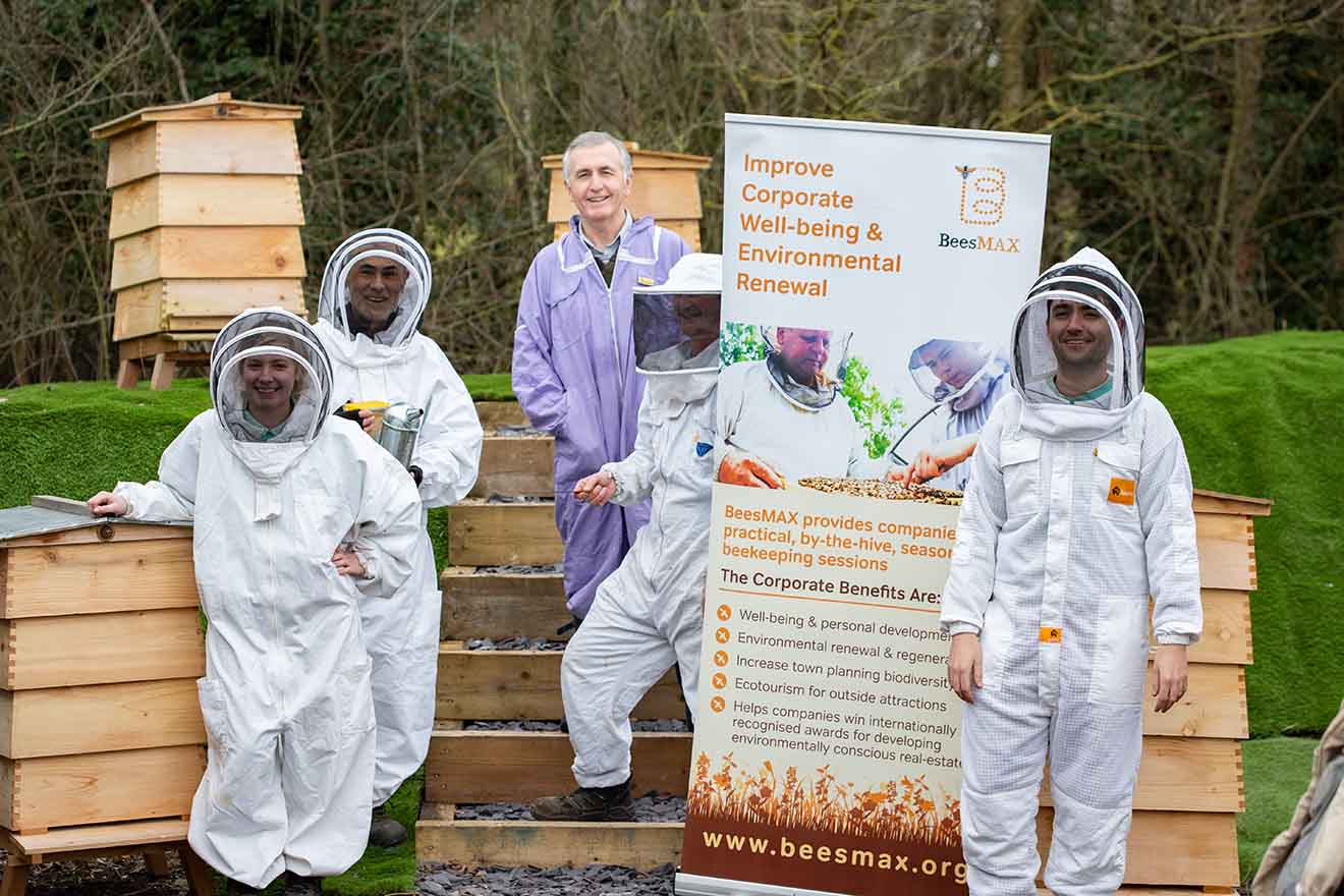Tree Bee Rescue at Chessington Garden Centre - Tree Bee Rescue